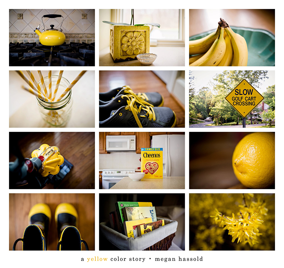A Color Story » The Megan Hassold Photography Co.
